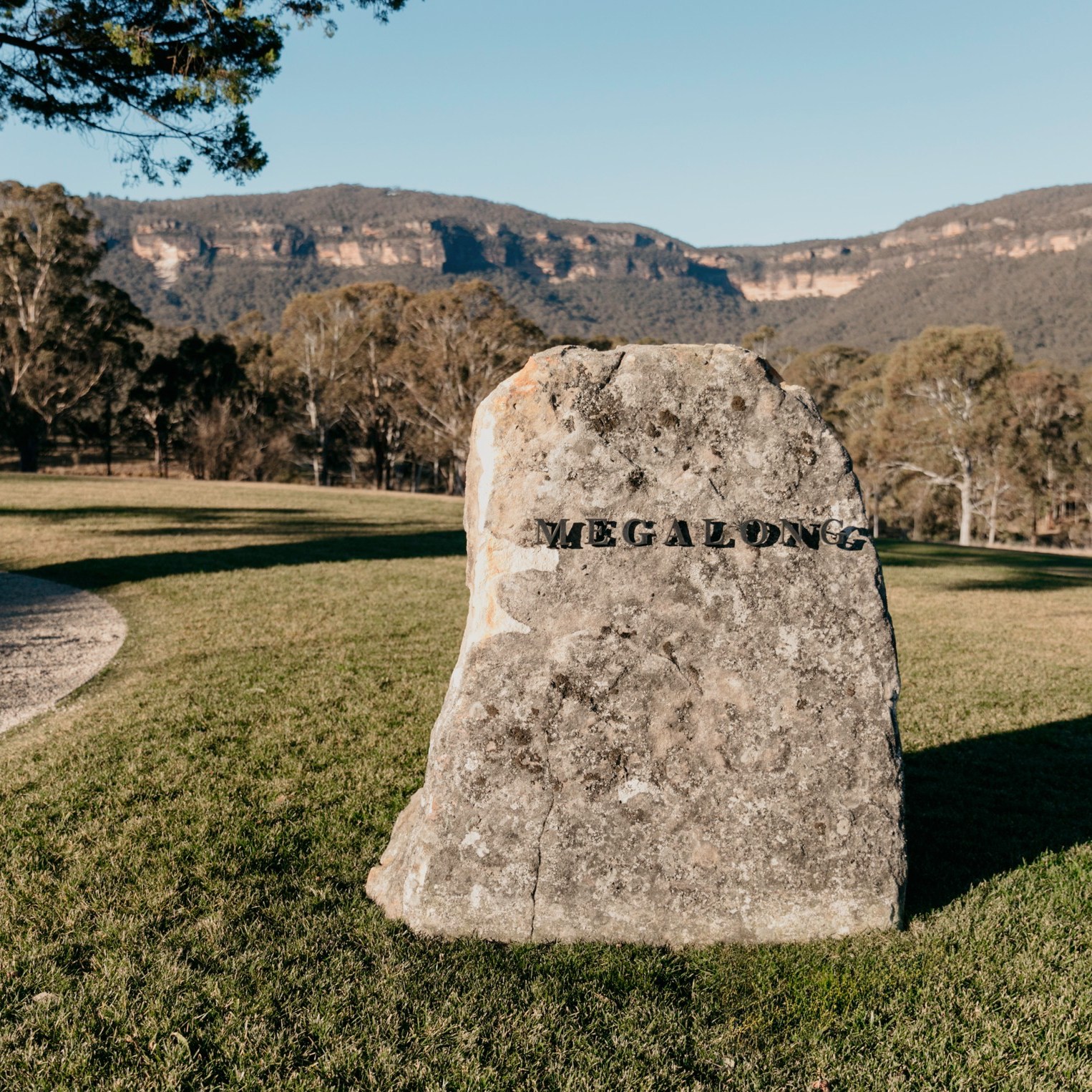 About Us - paddock to plate - MEGALONG at LOT101
