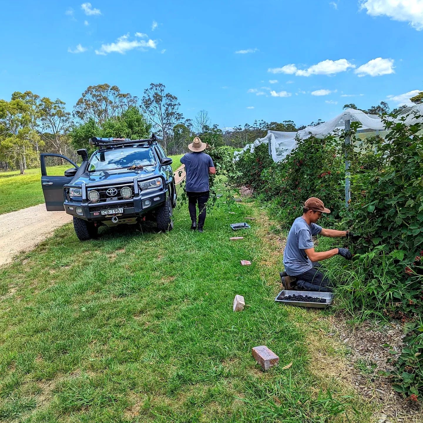 MEGALONG at LOT101 - Restaurant in Blue Mountains