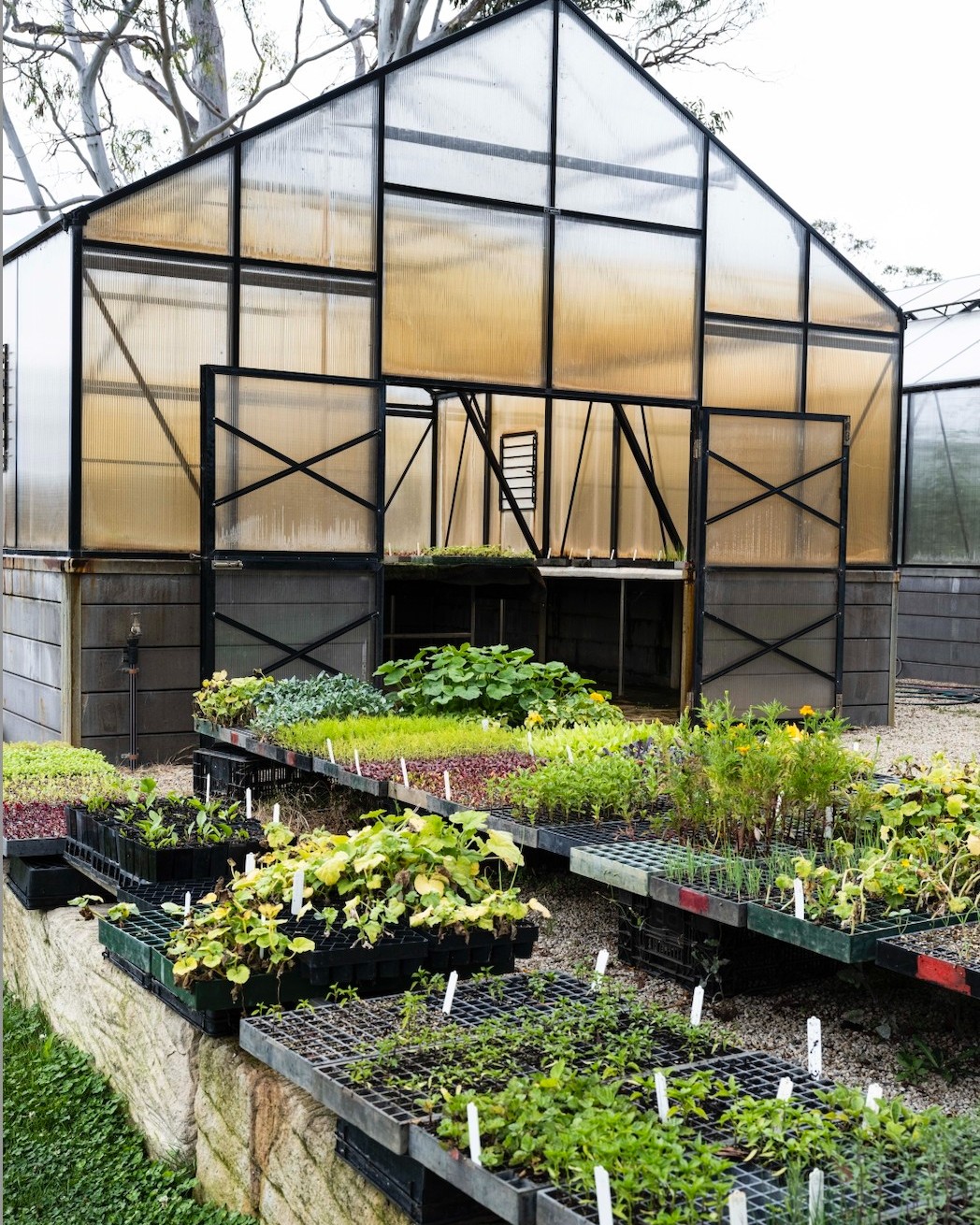 MEGALONG at LOT101 - Restaurant in Blue Mountains