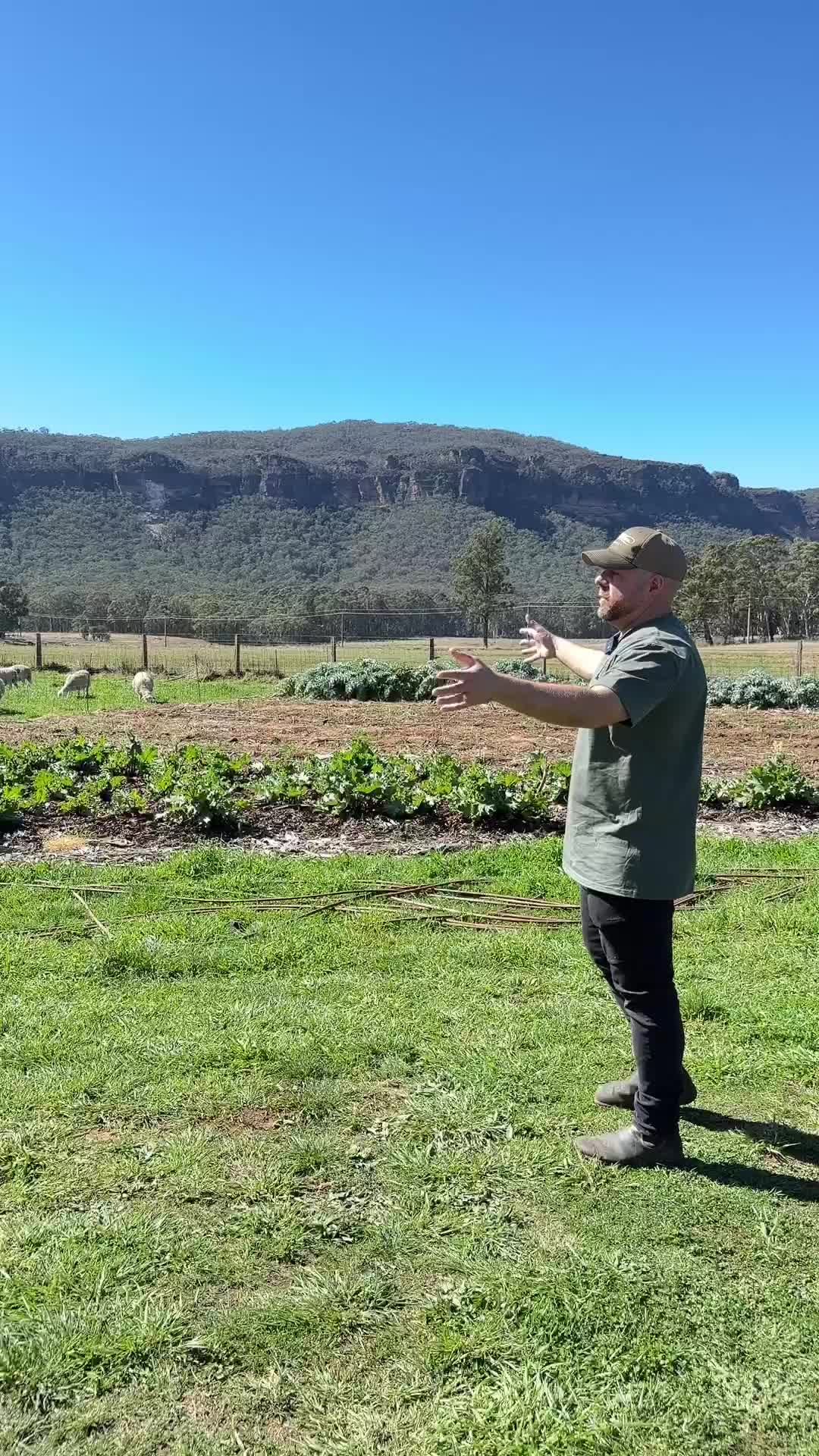 MEGALONG at LOT101 - Restaurant in Blue Mountains